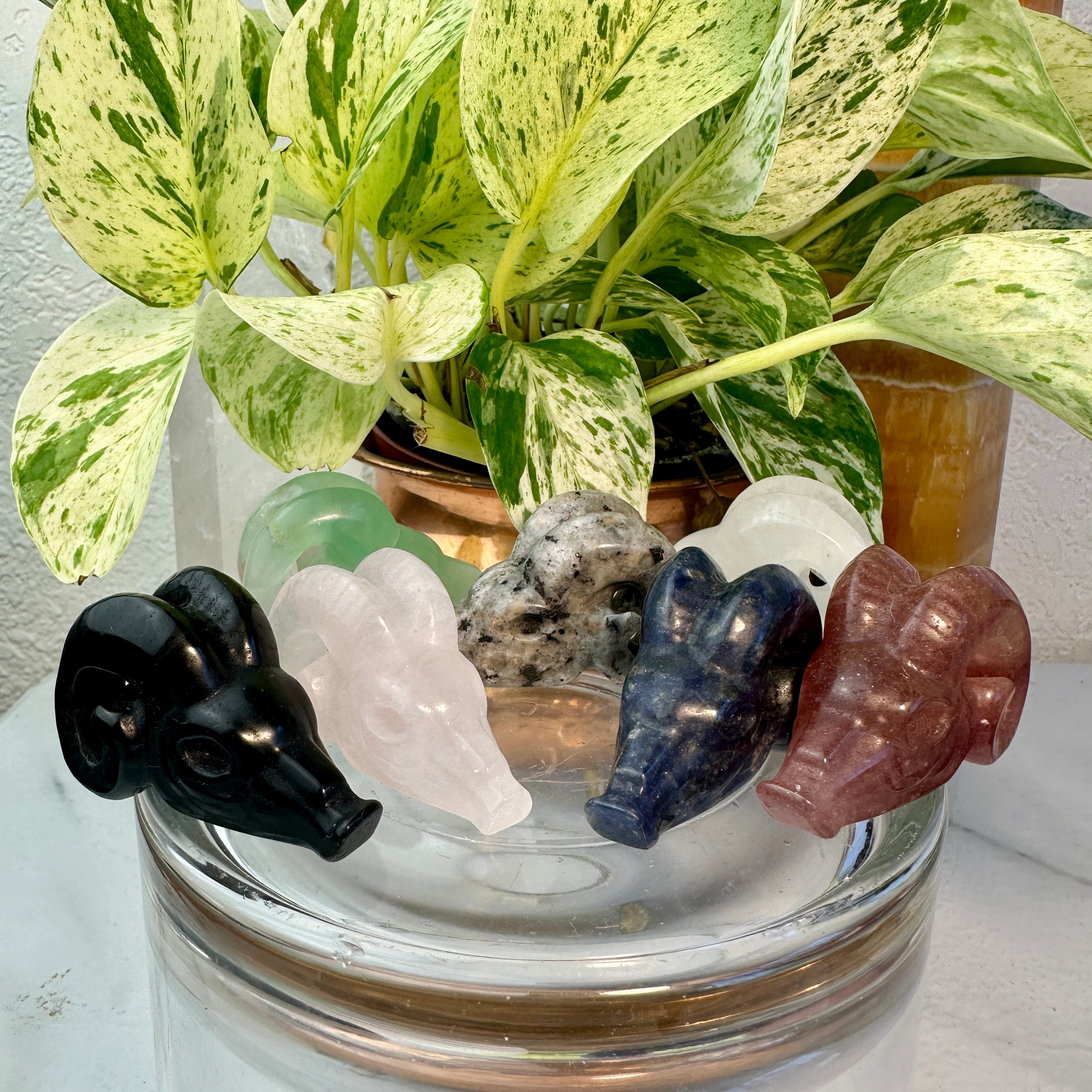 Crystal Ram Skulls — 2 inch Zodiac Aligned | Power | Protection | Purp ...